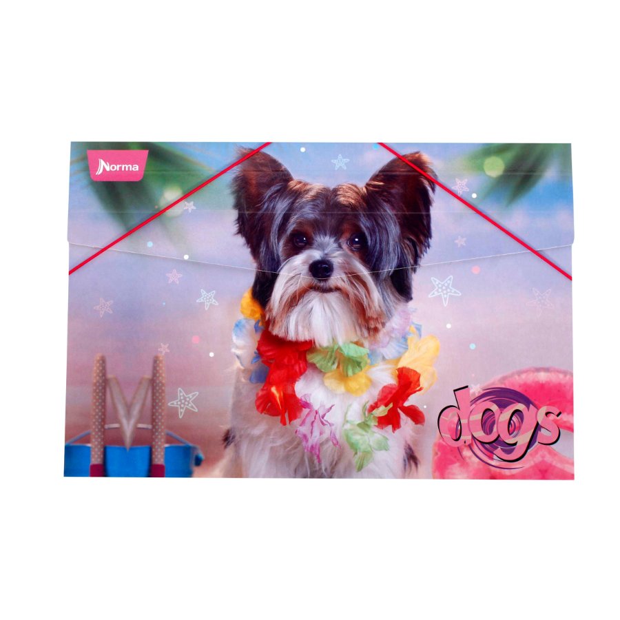 CARPETA NORMA DRAGON DOGS - Olímpica