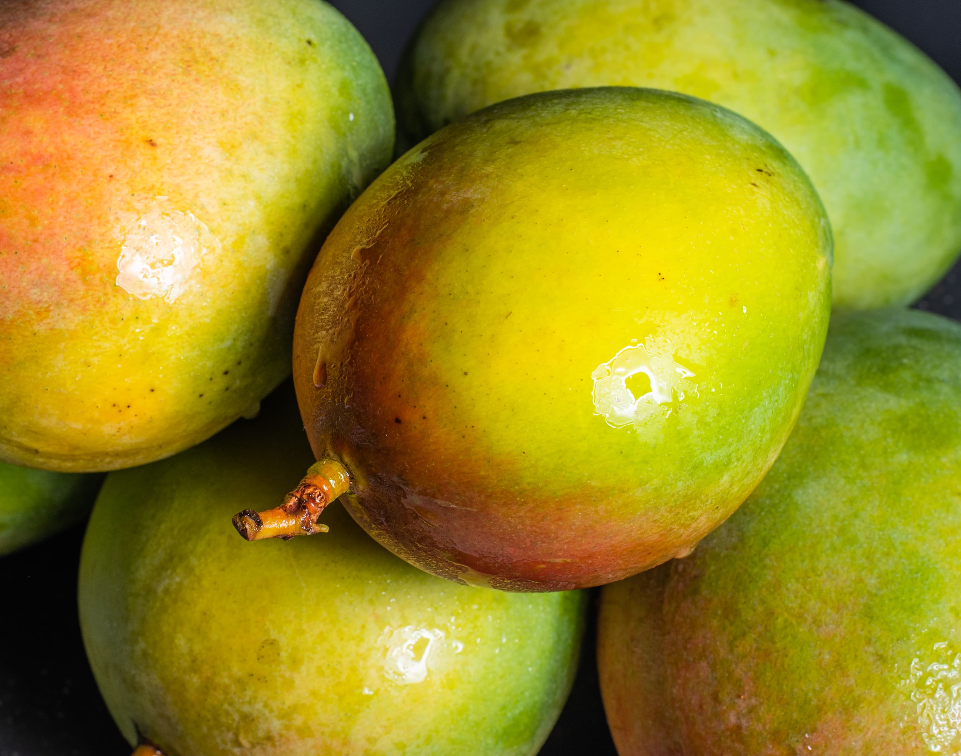 Oferta Mango Tommy Grande en Supermercado Olímpica - Olímpica