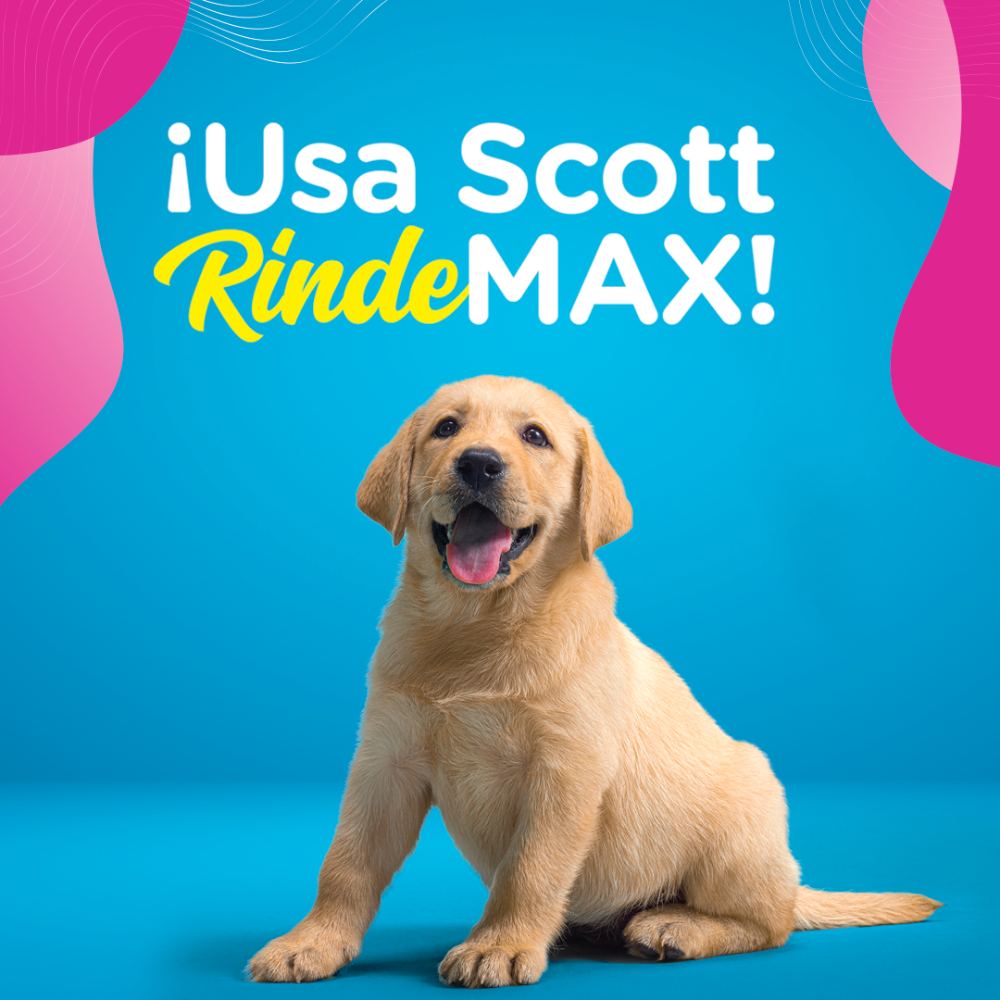 Papel Higiénico Scott Doble Hoja Rinde Max X12 Unds - Olímpica