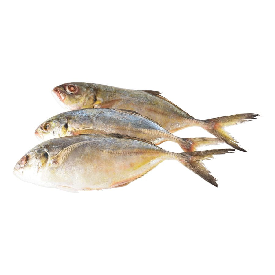 Aprovecha: Cojinua X Kg - Nutrición y Sabor Únicos - Olímpica