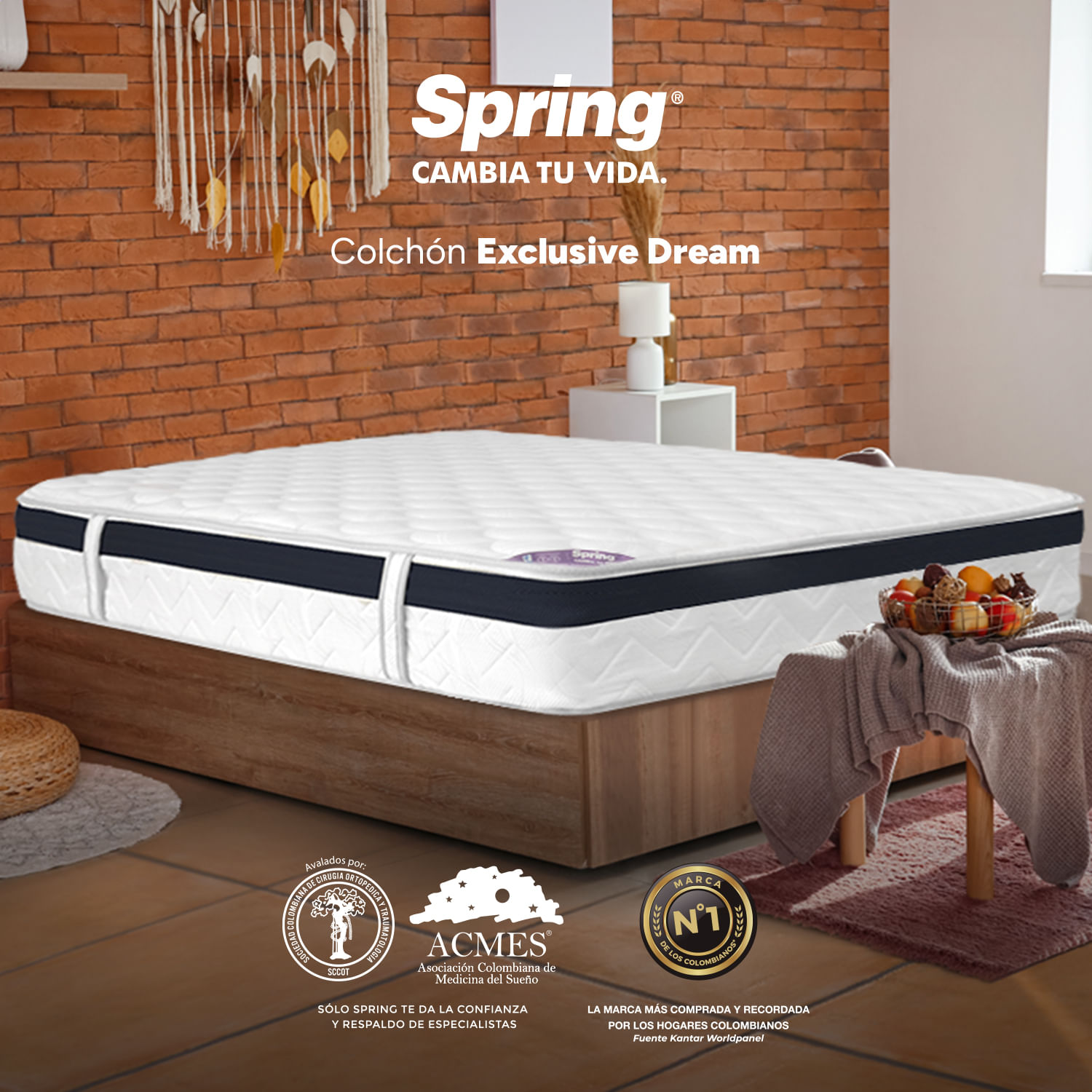 COLCHON SPRING EXCLUSIVEDREAM DOBLE - Olímpica