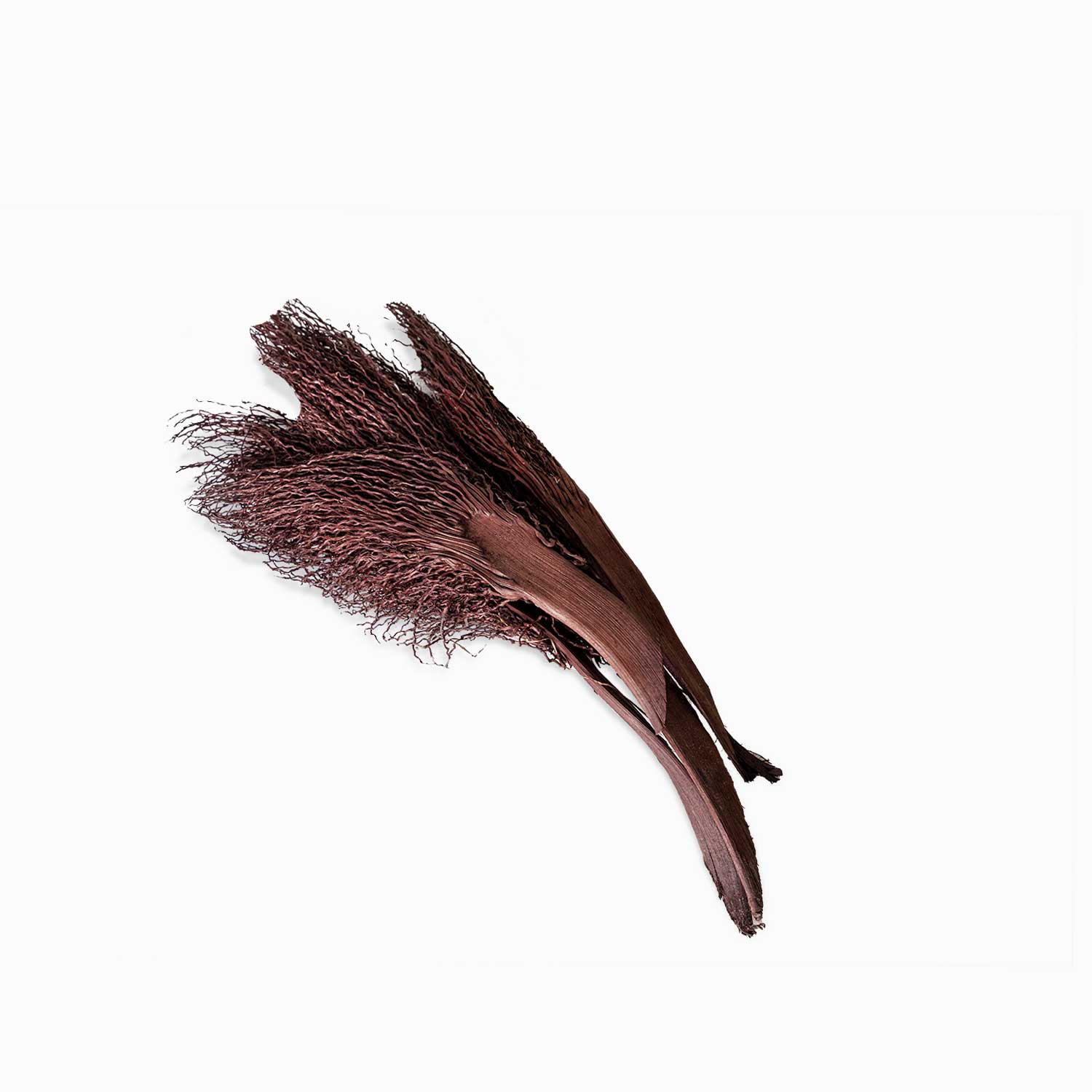 Racimo Kejur café Sabor intenso y aroma excepcional - Olímpica