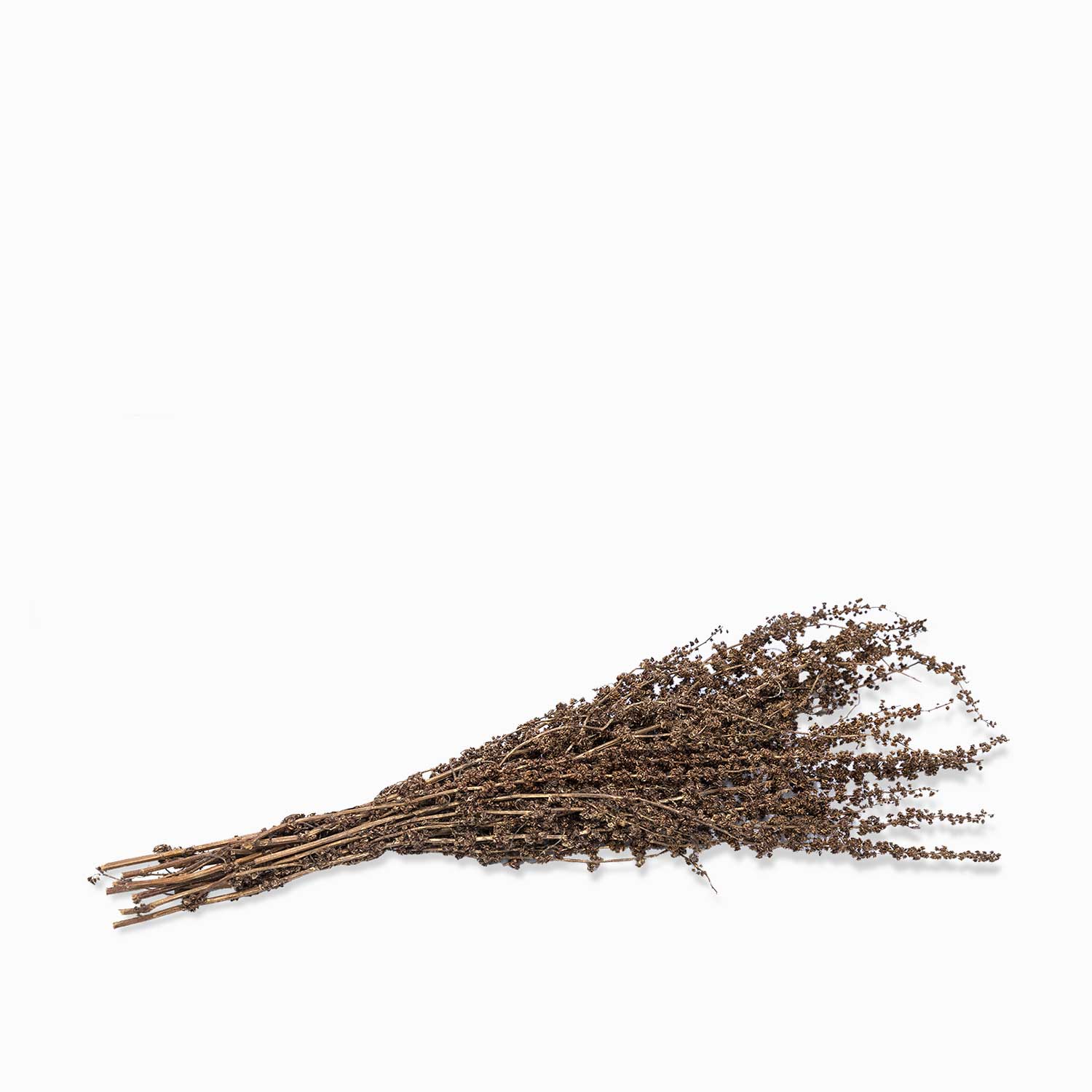 Racimo Palanque dorado - Olímpica