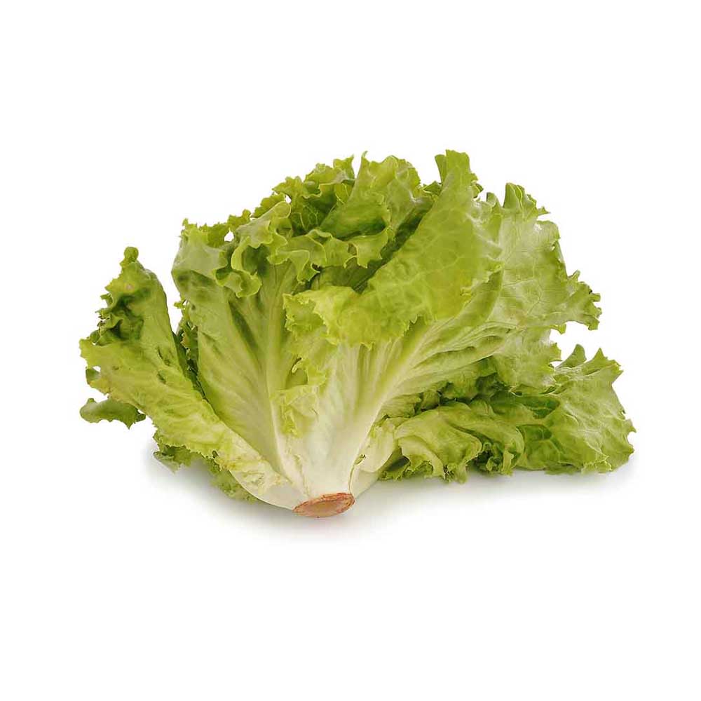 Aprovecha: Lechuga FrescoCampo Kosher Hidropónica 200 G - Olímpica