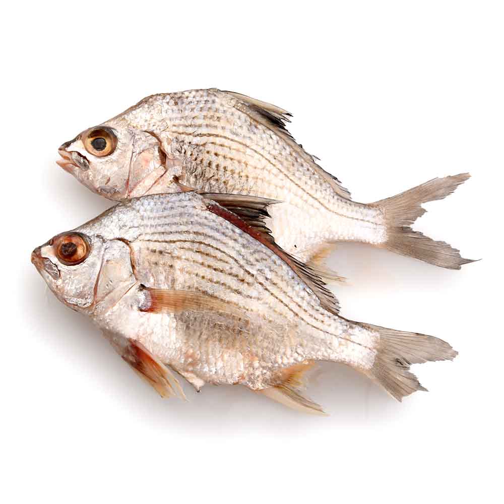 Aprovecha: Mojarra Blanca Extra Fresca 1 Kg - Olímpica