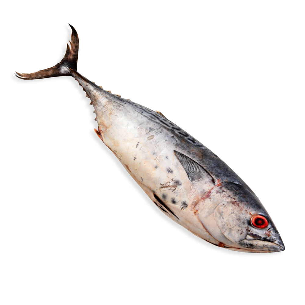 Aprovecha: Bonito Entero Fresco a Solo X Kg - Olímpica