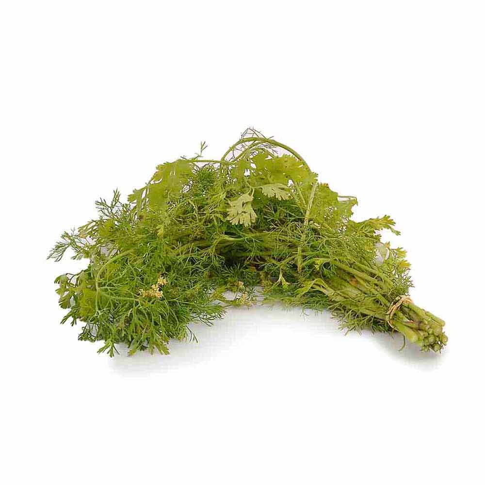 Aprovecha Cilantro Criollo 50 G ¡Sabor fresco y natural! - Olímpica