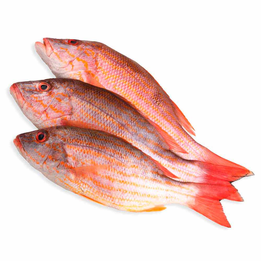 Aprovecha: Pargo Rojo Platero Fresco 1 Kg - Olímpica