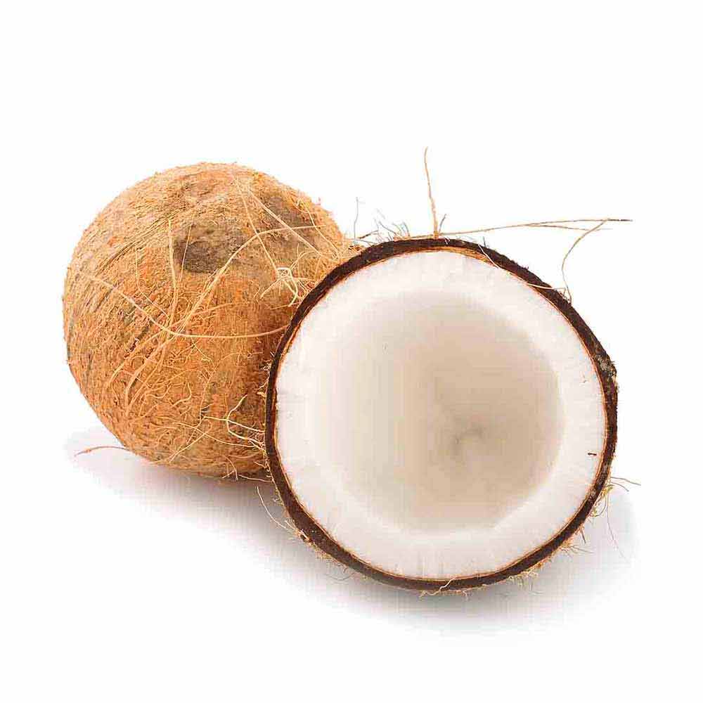 COCO SECO - Olímpica